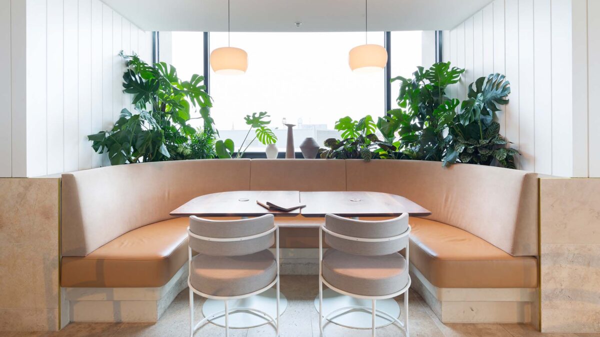 Couch Designs | Leyla